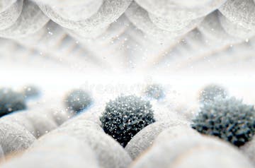 Germ Layers Stock Illustrations – 118 Germ Layers Stock Illustrations ...