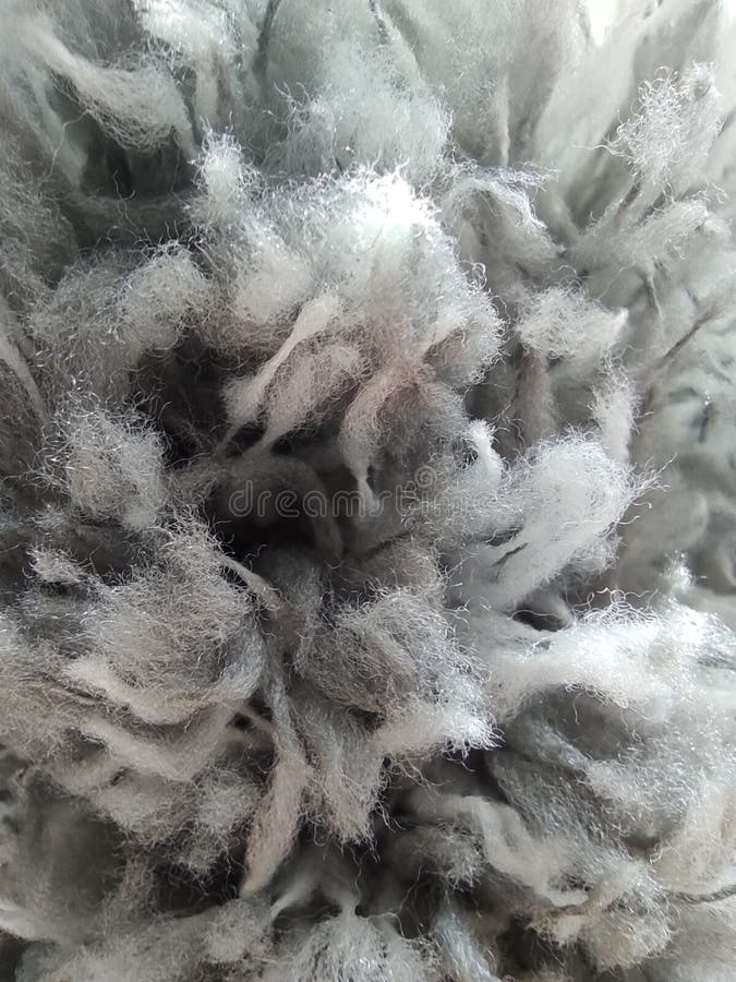Micro Fiber Duster Gray Color Stock Image - Image of leaf, freezing ...