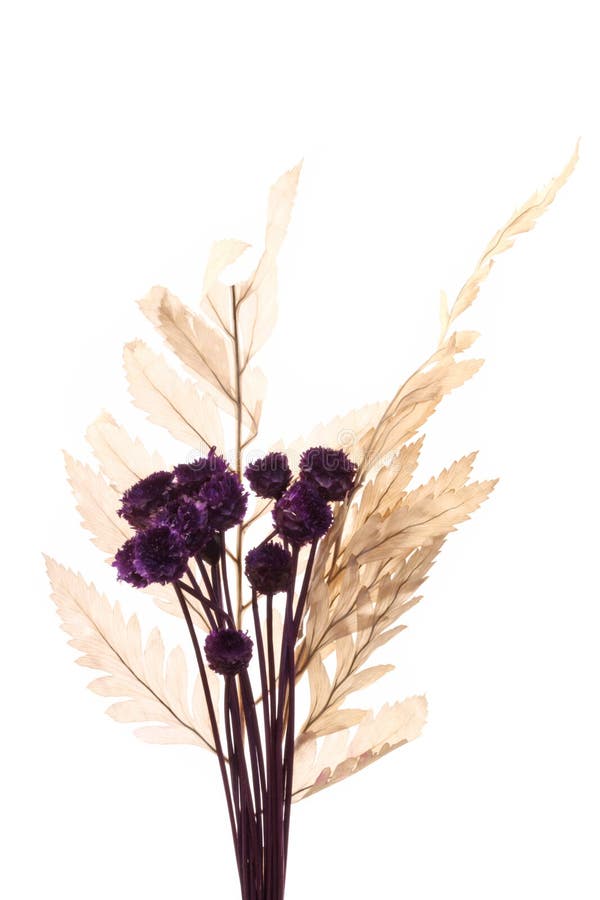 Mix Micro Flowers Arrangement Stock Photos - Free & Royalty-Free Stock ...