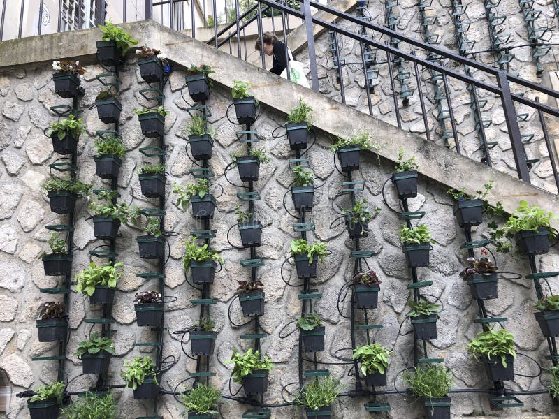Micro Orto Domestico Verticale Fotografia Stock - Immagine di urbano ...