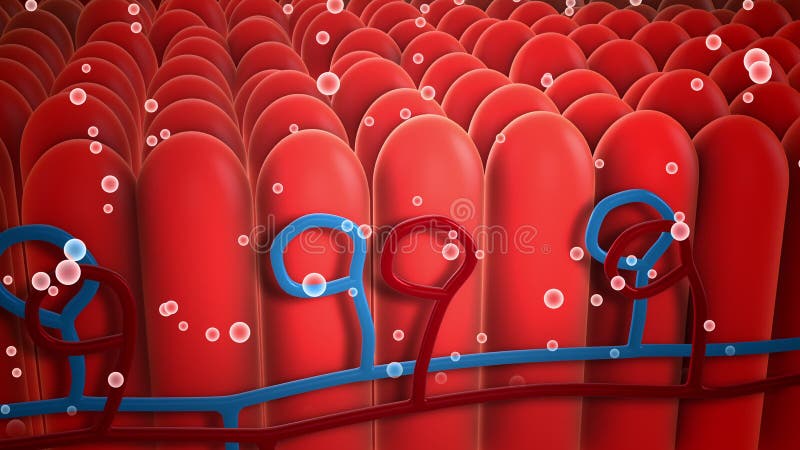 Micro Particles Floating on Tongue Receptor Stock Footage - Video of ...