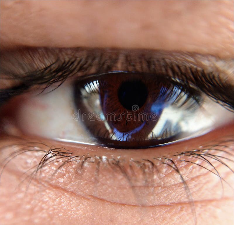 A micro pic of human eye stock photo. Image of micro - 238317170
