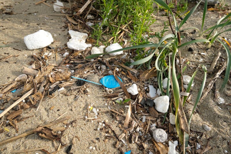 Micro Plastics and Polystyrene Waste on Sea Plants Ecosystem,ocen ...