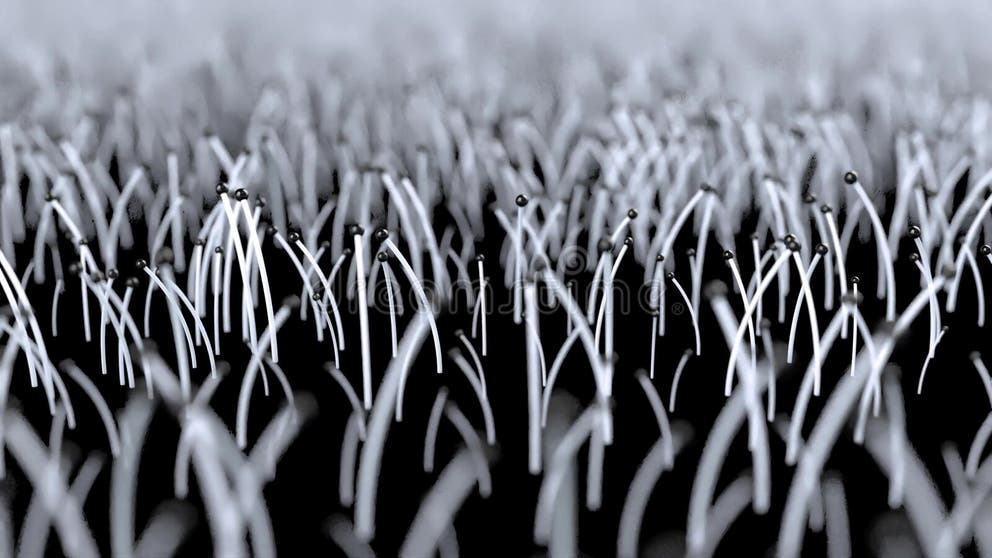 Micro Psilocybin Mushrooms Mycelium Fungus 3d Stock Illustration ...