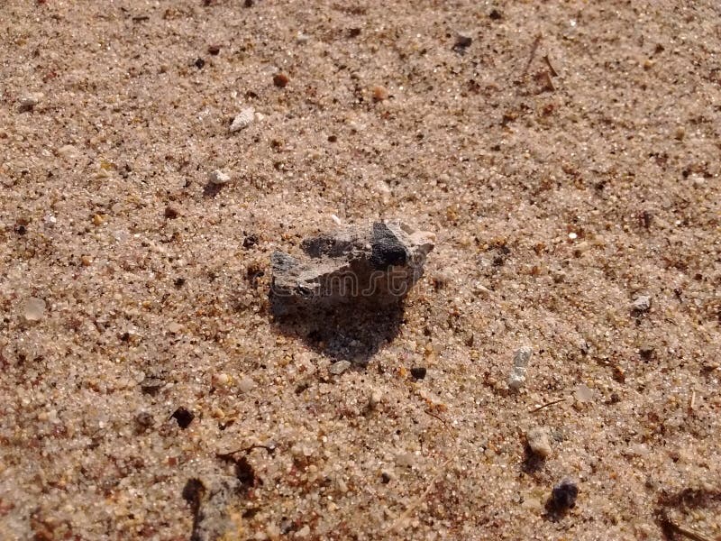 Micro sand with rock stock photo. Image of micro, rock - 80737758