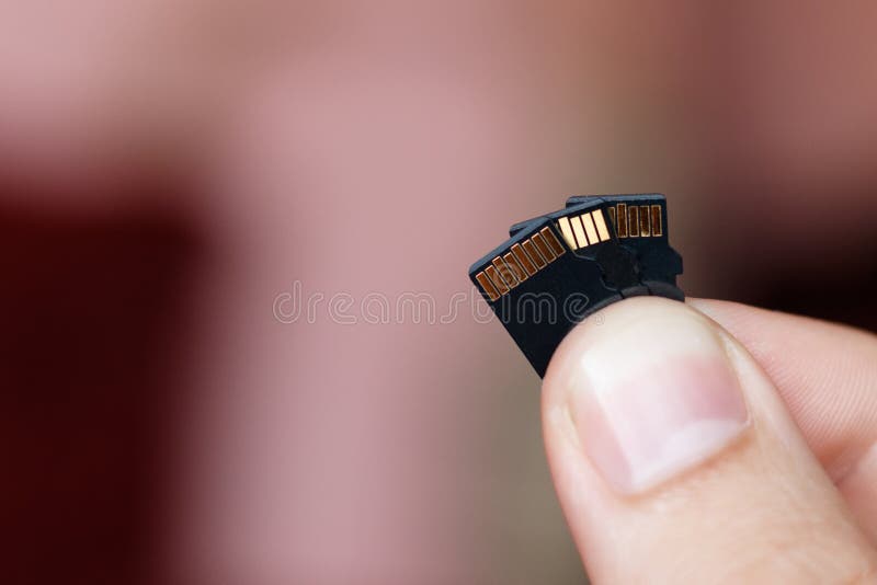 Micro Sd Card Brown Stock Photos - Free & Royalty-Free Stock Photos ...