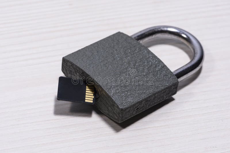 Micro SD Memory Card in the Barn Lock Stock Image - Image of virus ...