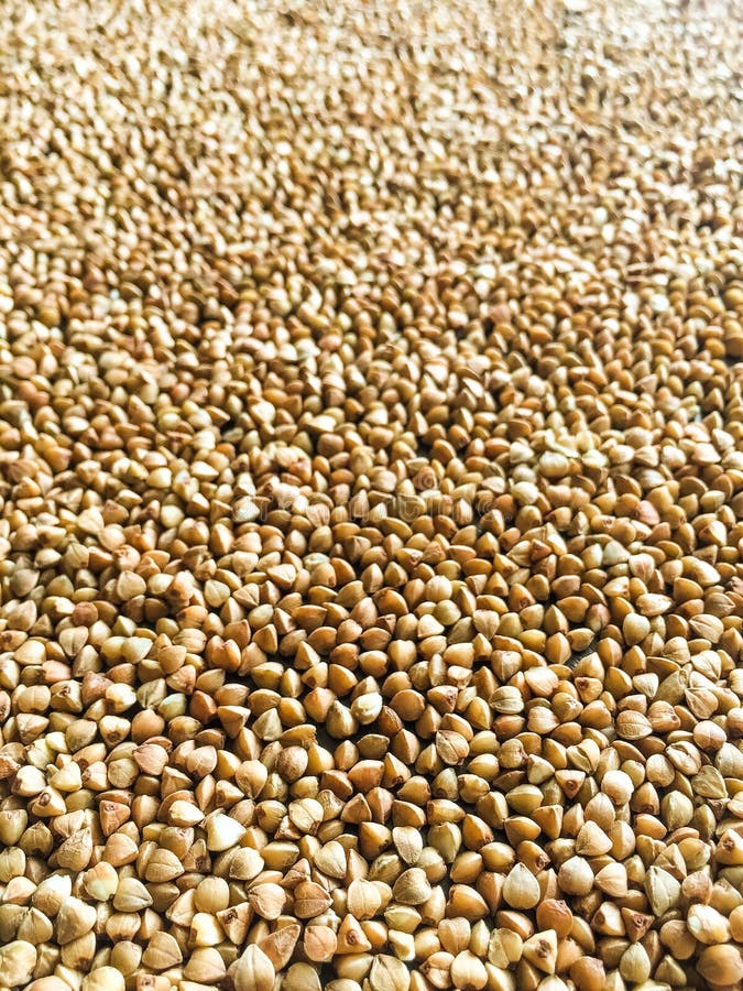 227 Buck Border Stock Photos - Free & Royalty-Free Stock Photos from ...