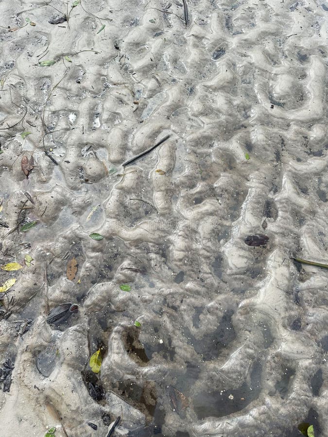 Micro Texture of Sandy Water after a Hurricane Stock Photo - Image of ...