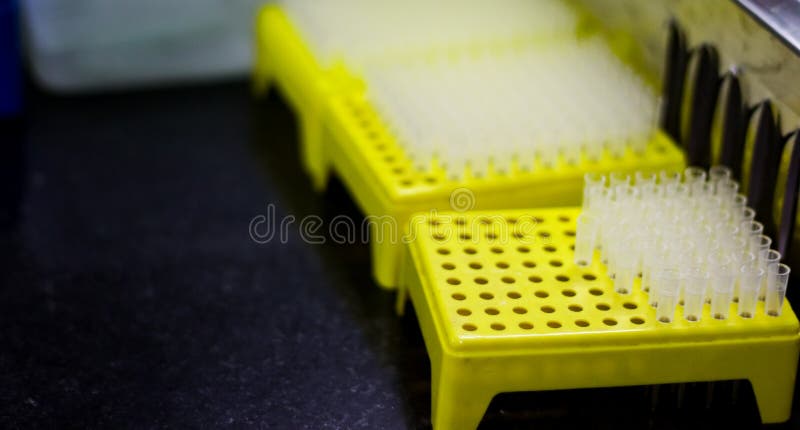 Micro Tips Arranged and Staked in a Yellow Micro Tip Stand for Micro ...