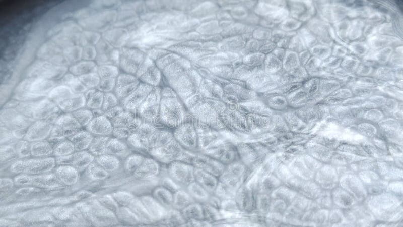 Micro View of a Chemical Reaction Under a Microscope with Bubbles Stock ...