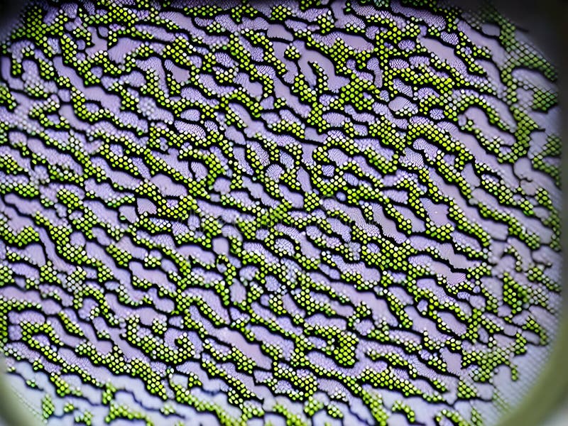 Micro World, Generative AI Illustration Stock Illustration ...