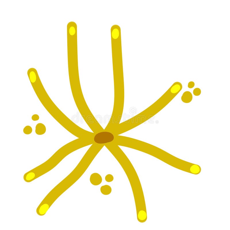 Microalgae. Aquatic Organisms and Bacteria Stock Vector - Illustration ...