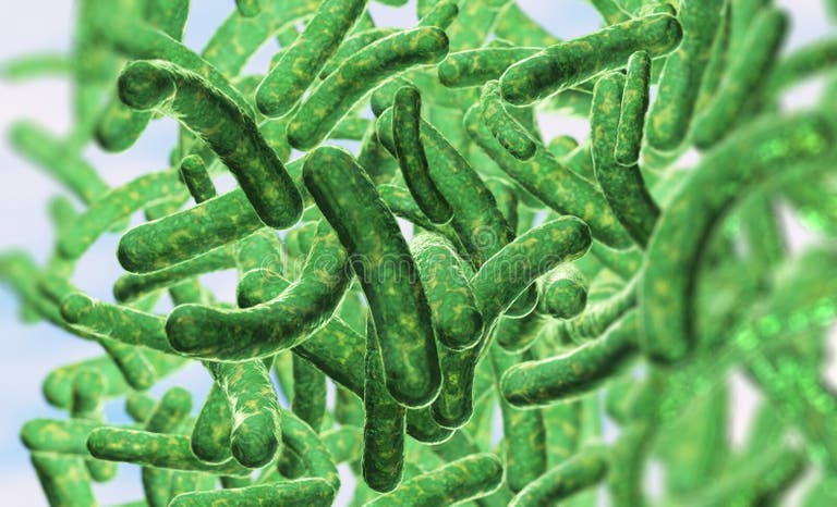 Microbacteria and Bacterial Organisms.biology and Science Background ...