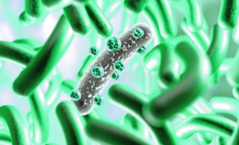 Microbacteria and Bacterial Organisms.biology and Science Background ...