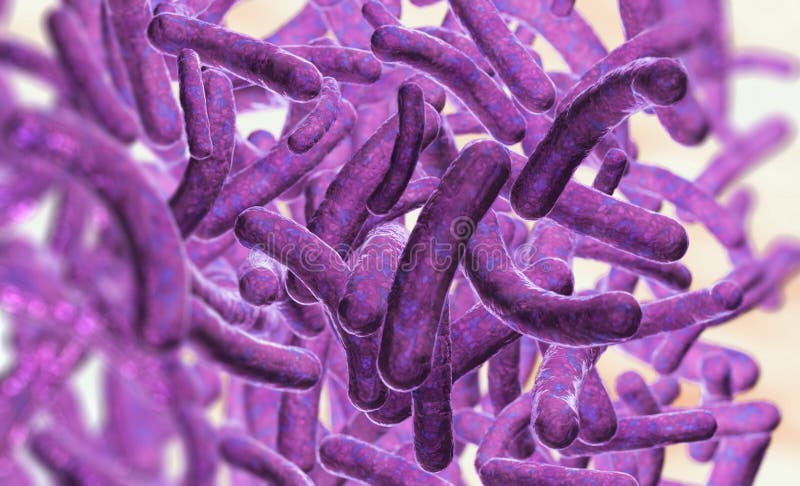 Ubiquity Of Microorganisms Bacteria