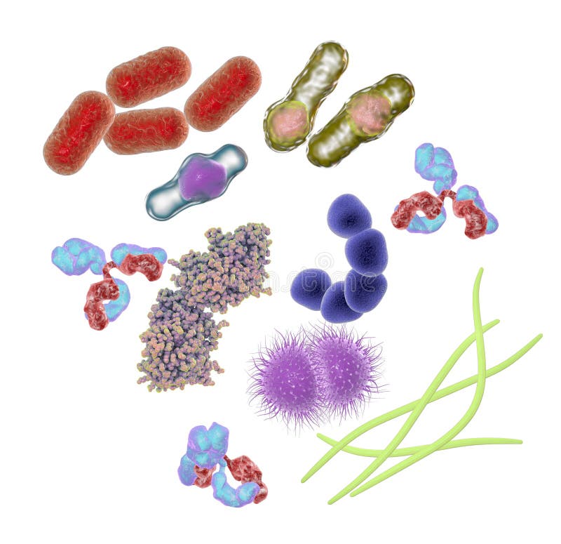 Microbes and Molecules of Different Shapes Stock Illustration ...