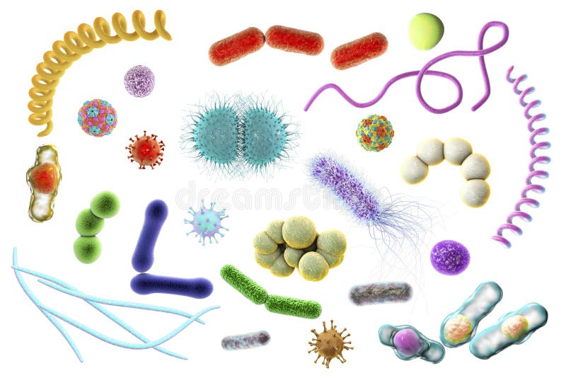Microbi Delle Forme Differenti Illustrazione di Stock - Illustrazione ...