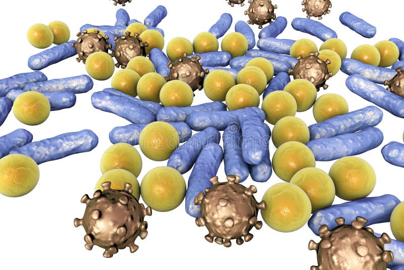 Microbi immagine stock. Immagine di scienza, organico - 16971525