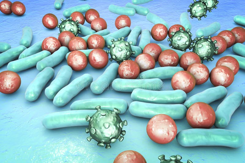 Microbi Delle Forme Differenti Illustrazione di Stock - Illustrazione ...