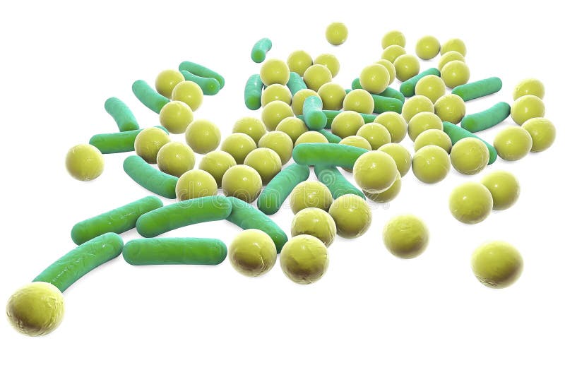 Microbi Delle Forme Differenti Immagine Stock - Immagine di chiusura ...