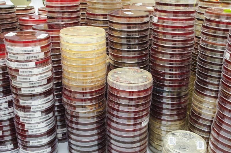 Microbial cultures stock image. Image of futuristic, agar - 36798965