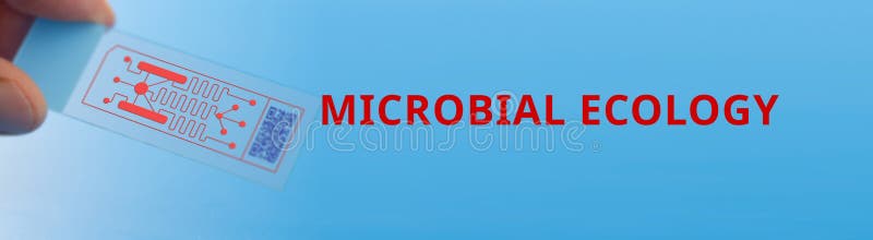 Microbial Ecology Lab on Chip Device Stock Photo - Image of microbial ...