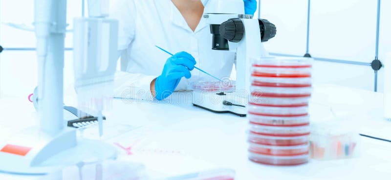 Microbial Process Investigation: Microscopes Allow Observing Microbial ...