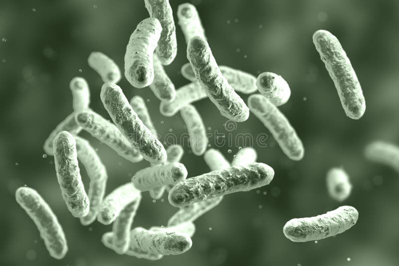 Microbio, Microorganismo, Bacteria Barra-formada Stock de ilustración ...