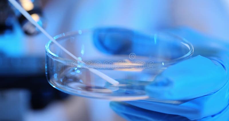 Microbiological Analysis of Culturable Bacteria Using Sterile ...