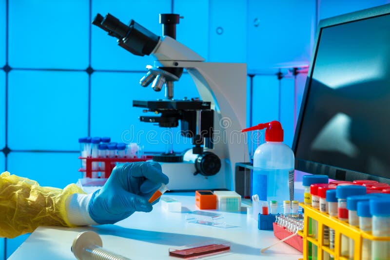 Microbiological Experiment in Medical Laboratory. Testing Genetic ...