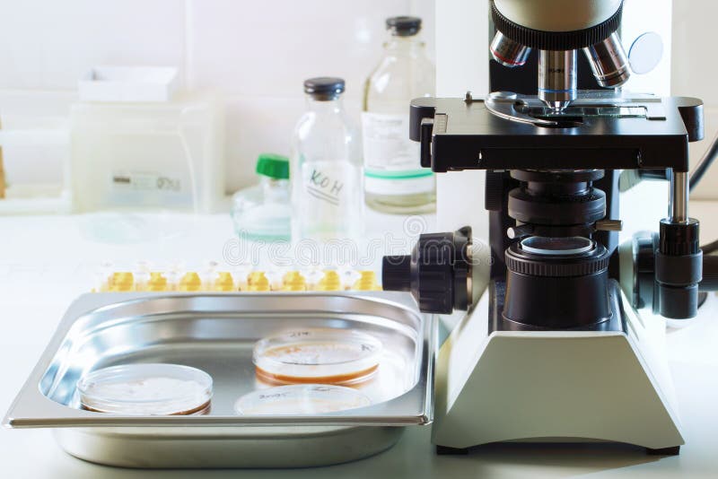 Microbiological laboratory stock image. Image of medicine - 32179677