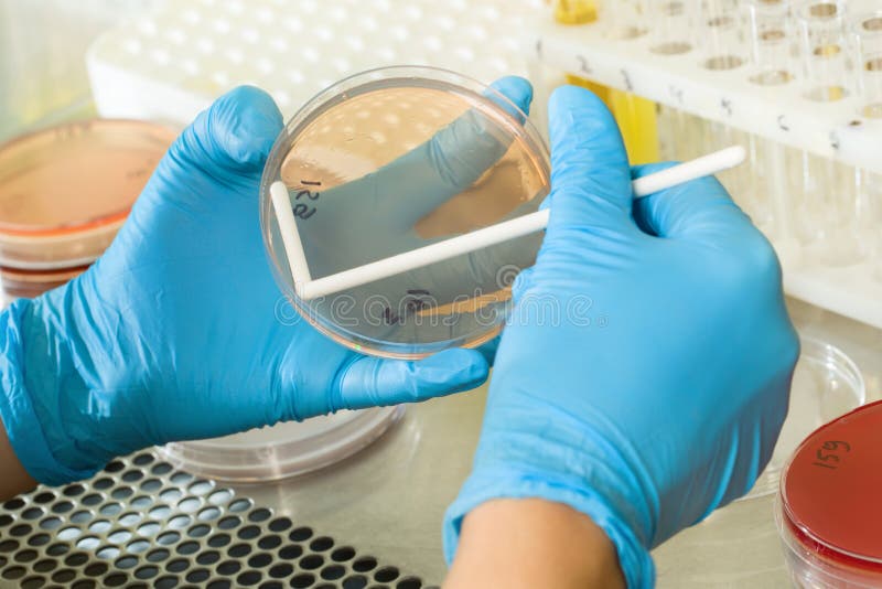 Microbiological laboratory stock image. Image of medicine - 32179677