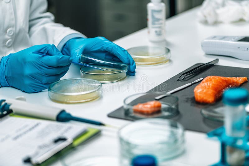 164 Seafood Testing Stock Photos - Free & Royalty-Free Stock Photos ...