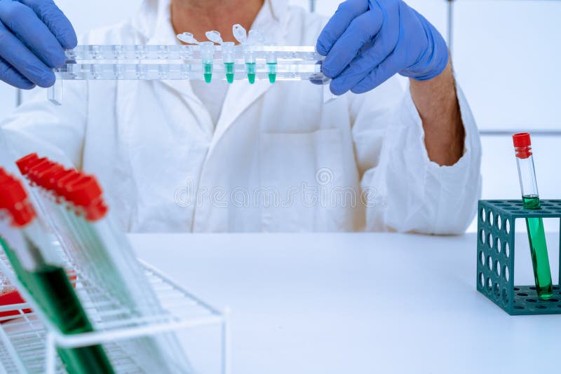 Microbiological Research in a Clinical Laboratory Stock Photo - Image ...