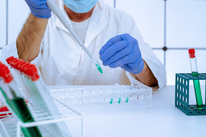 Microbiological Research in a Clinical Laboratory Stock Photo - Image ...