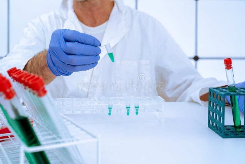 Microbiological Research in a Clinical Laboratory Stock Image - Image ...