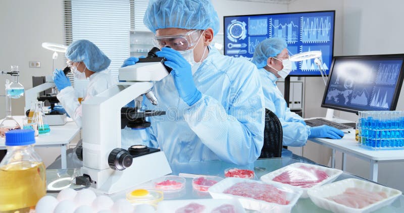 Microbiological Test Food Quality Stock Photo - Image of investigation ...