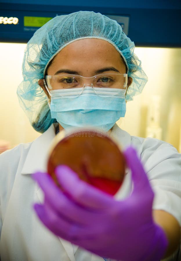 Microbiologist stock photo. Image of microorganisms, microbiologist ...