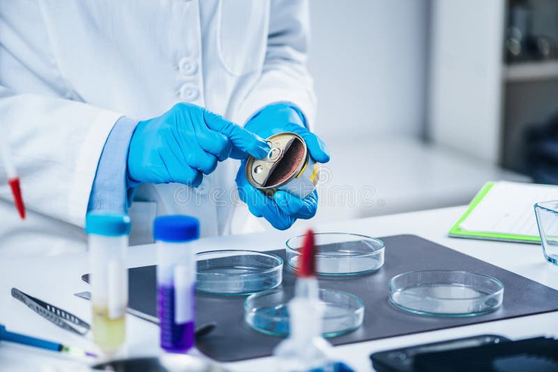 Microbiologist Preparing Sample of Canned Pet Food for Quality Control ...