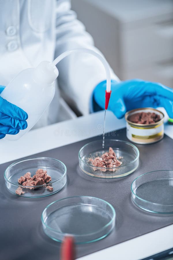 Preparing Laboratory Equipments Such As Glassware, Tube with Liquid on ...