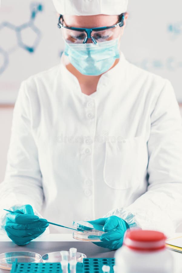 Microbiologist Working in Laboratory Stock Image - Image of chemist ...