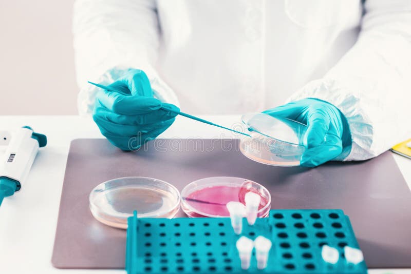 Microbiologista Que Trabalha Com Testes De Tubo Sanguíneo No ...