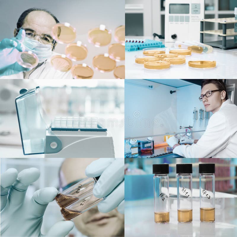 Microbiologists Work in Modern Laboratory Stock Image - Image of cells ...