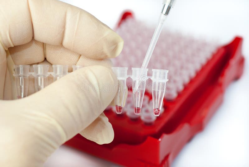 Laboratory-Blood Bank stock image. Image of carrying - 33239845
