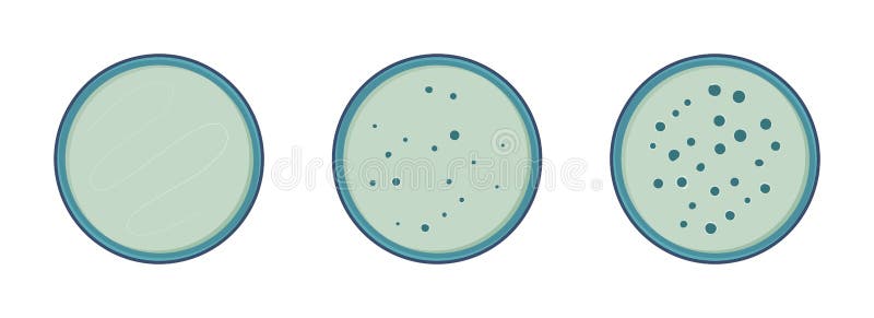 Bacterium growth vector stock vector. Illustration of equipment - 151397676