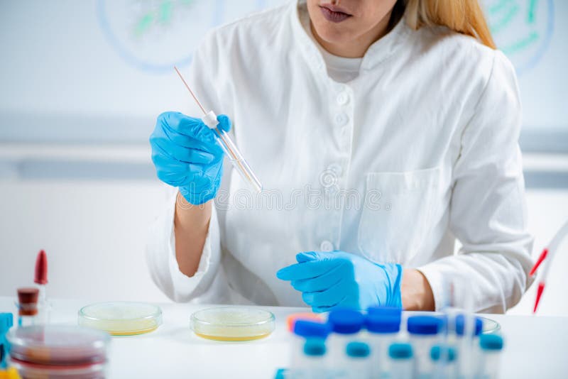 Microbiology. Hands of a Microbiology Lab Technician Holding a Stack ...