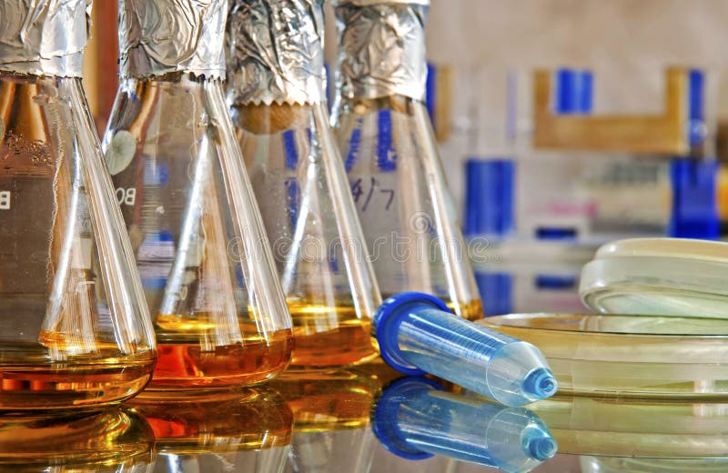 Microbiology Laboratory Work. Hands of a Microbiologist Working in a ...