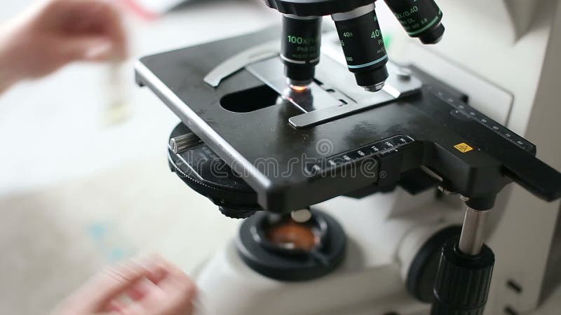 Microbiology Laboratory Work, Petri Dish Stock Video - Video of ...