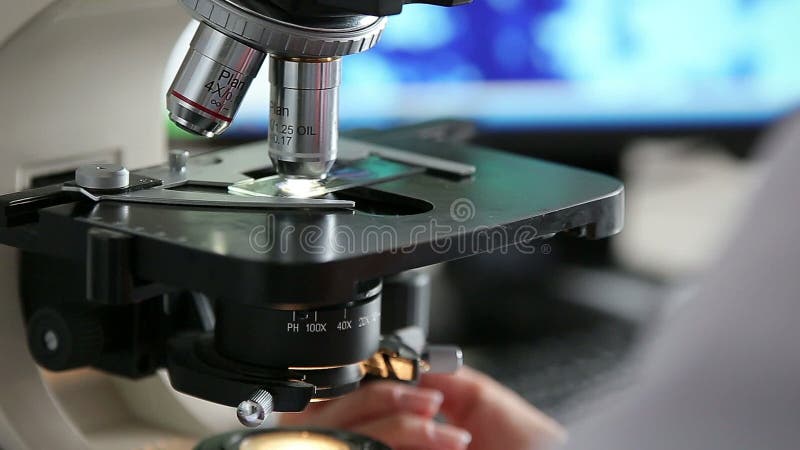 Microbiology Laboratory Work with Microscope Stock Video - Video of ...